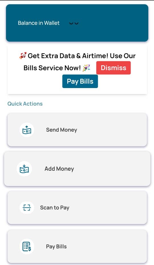 Payina | Manage money on the go