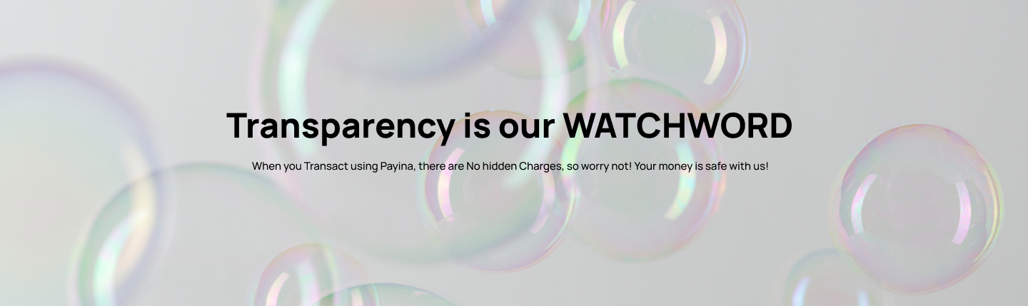 Payina | Manage money on the go